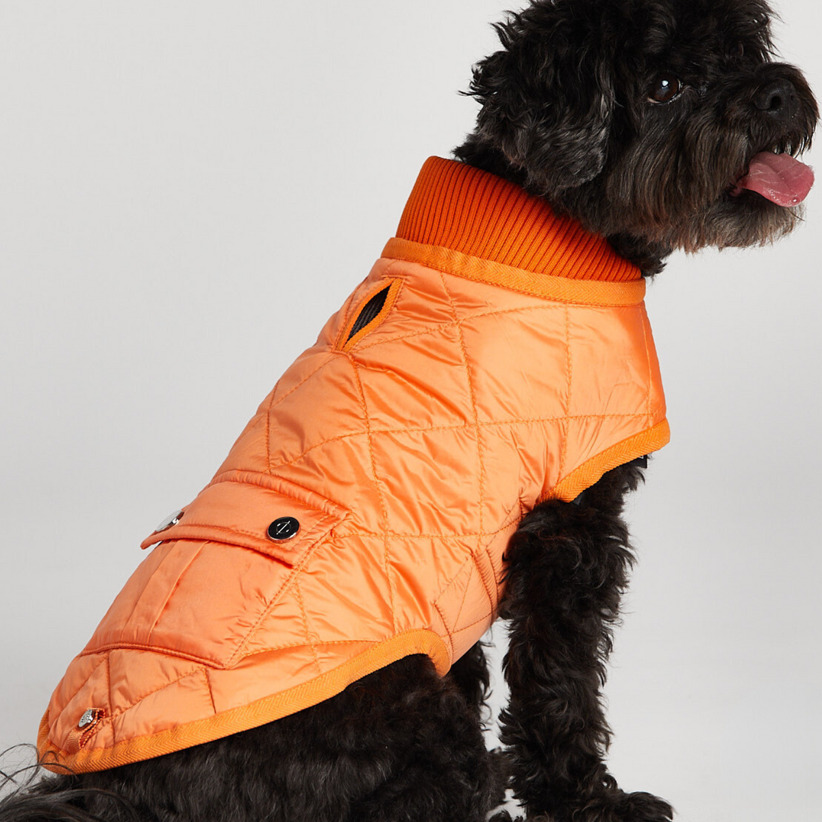 Romeo Quilted Dog Coat – Frances Kahn